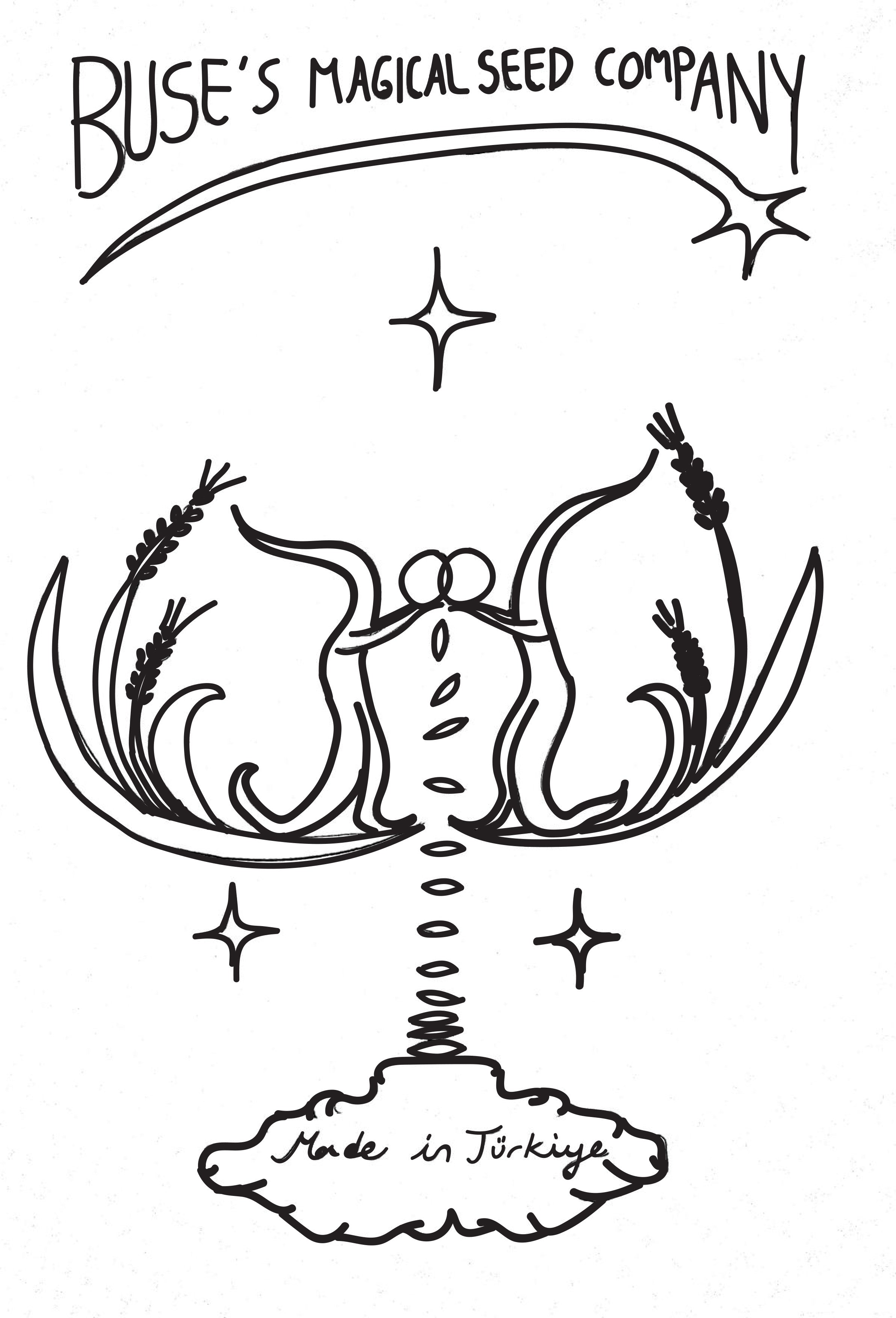 Buse's Magical Seed Company